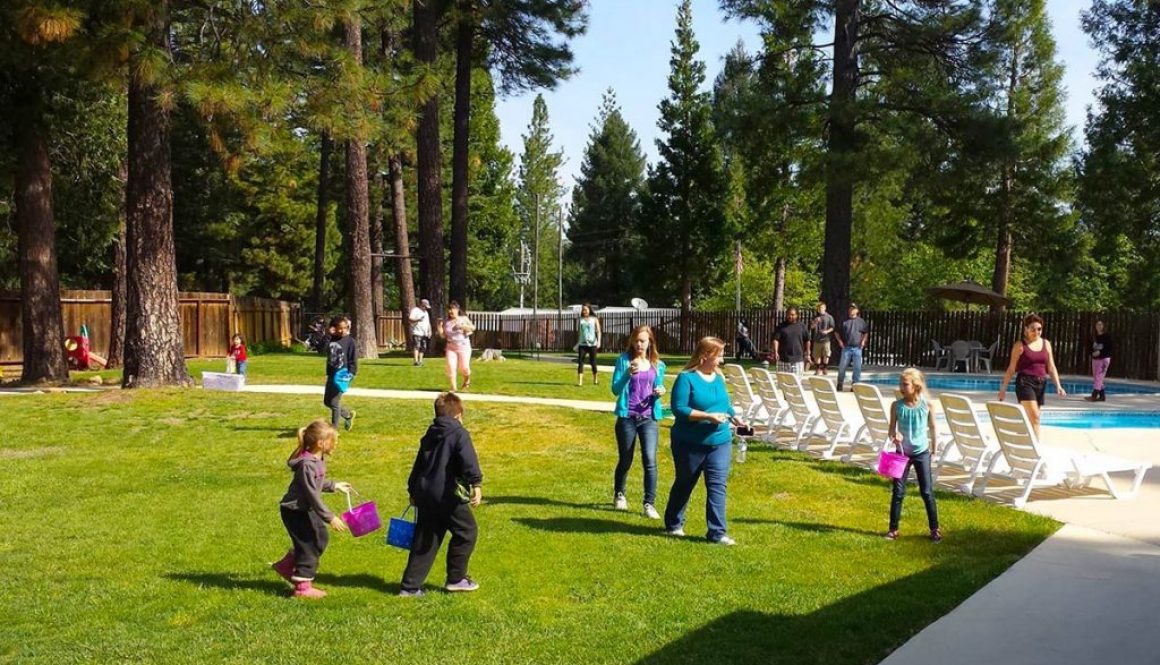 Blog – Colorado River Adventures