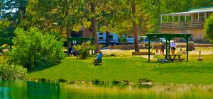 KQ Ranch Resort – Colorado River Adventures